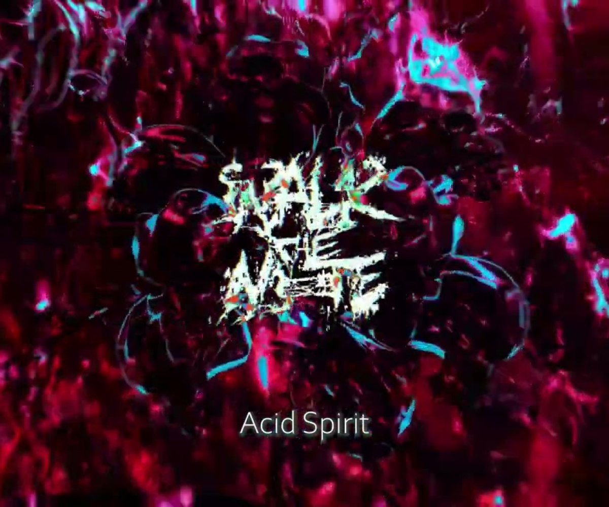 Walk The Nite yeni şarkısını yayınladı! "Acid Spirit" - Kapak Magazin ...